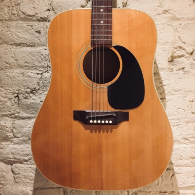 1969 Gibson Blue Ridge